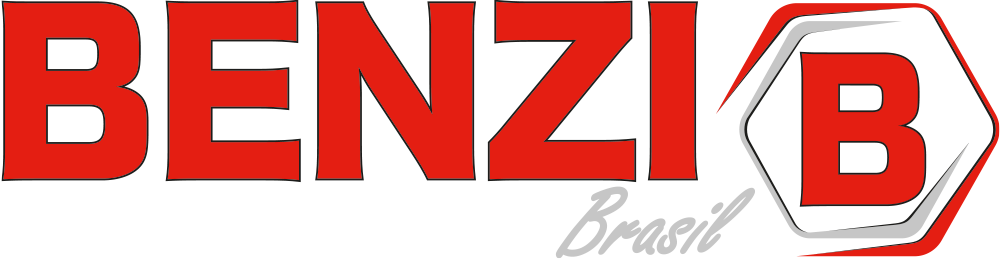 October 2024 – Benzi Brasil | BENZI
